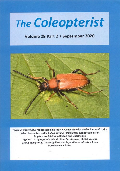 The Coleopterist | UK Beetle Recording